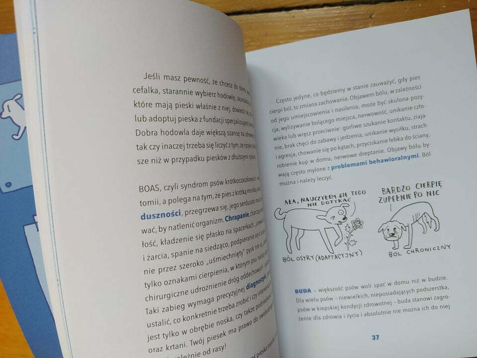 „Psie sucharki 2. Wszystkie słowa, które musisz znać, żeby obsłużyć ...