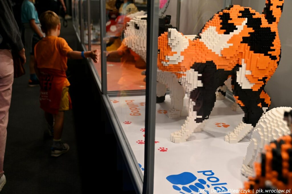 Imponująca wystawa budowli z klocków Lego - PIK.wroclaw.pl